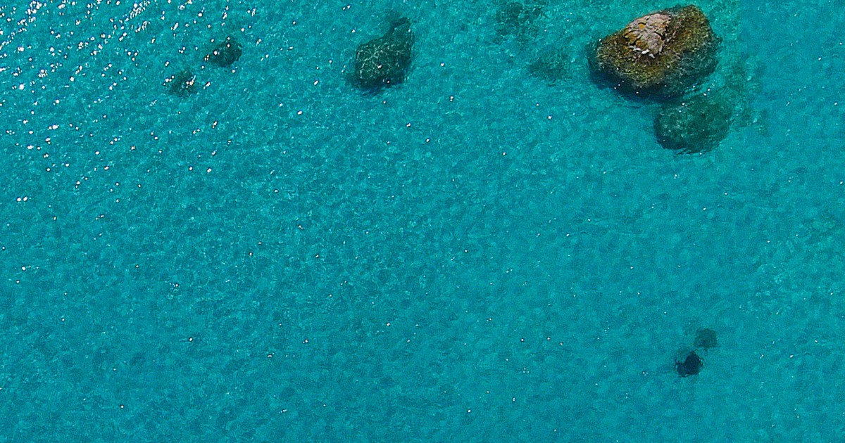 What We Can Learn from Blue Zones