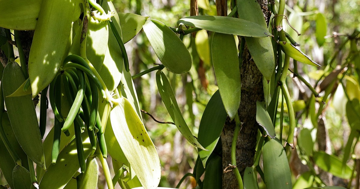 Working to Protect People in Our Traceable Supply Chain